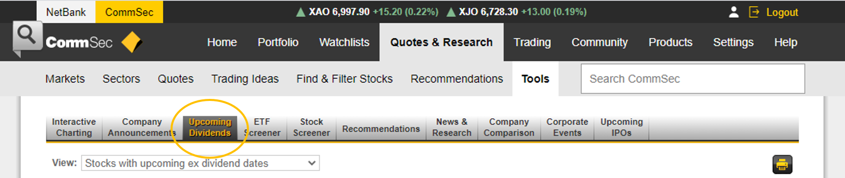 Where can I see upcoming dividends for a company?
